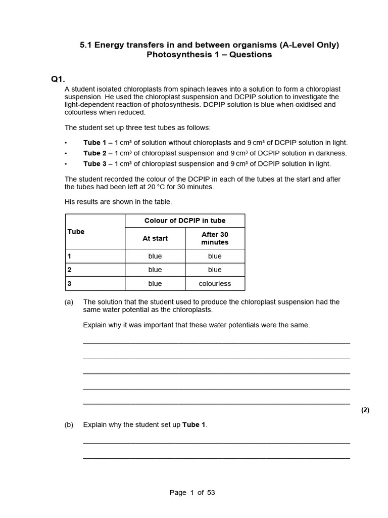 A-Level Photosynthesis Study Guide | PDF | Photosynthesis | Leaf