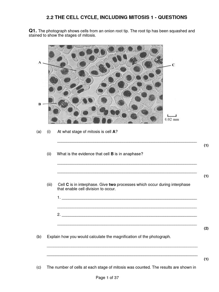 2.2 The Cell Cycle Including Mitosis 1 Questions | PDF | Mitosis | Meiosis