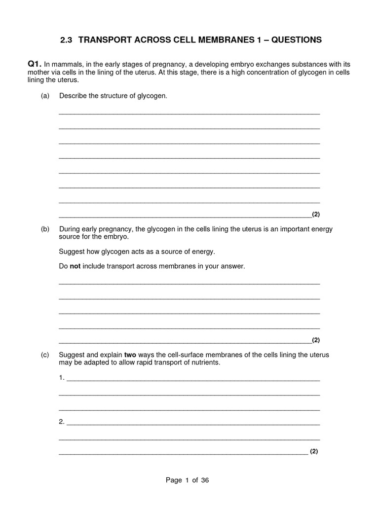 2.3 Transport Across Cell Membranes 1 E28093 Questions 1 | PDF | Cell ...