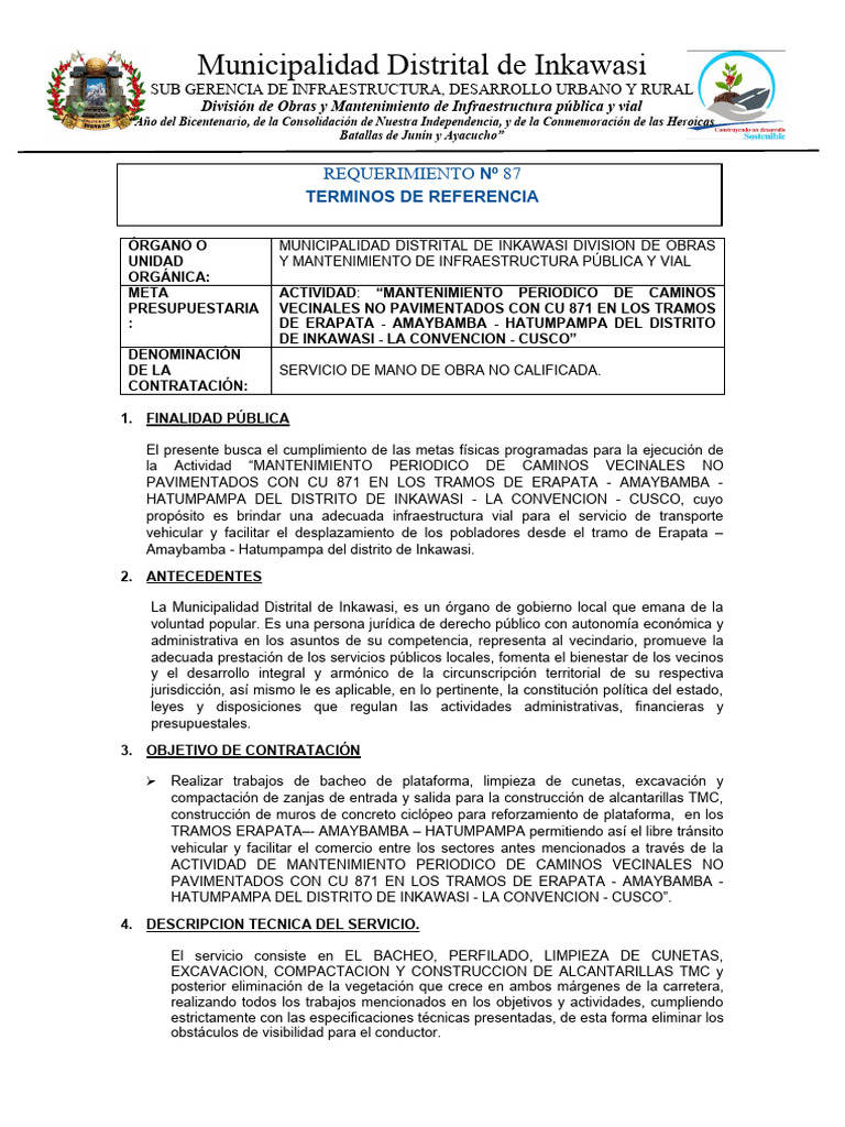 TDR Servicio Peon | PDF | Gobierno local | Gobierno