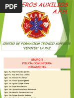 Diapositivas Primeros Auxilios | PDF | Primeros auxilios | Reanimación cardiopulmonar