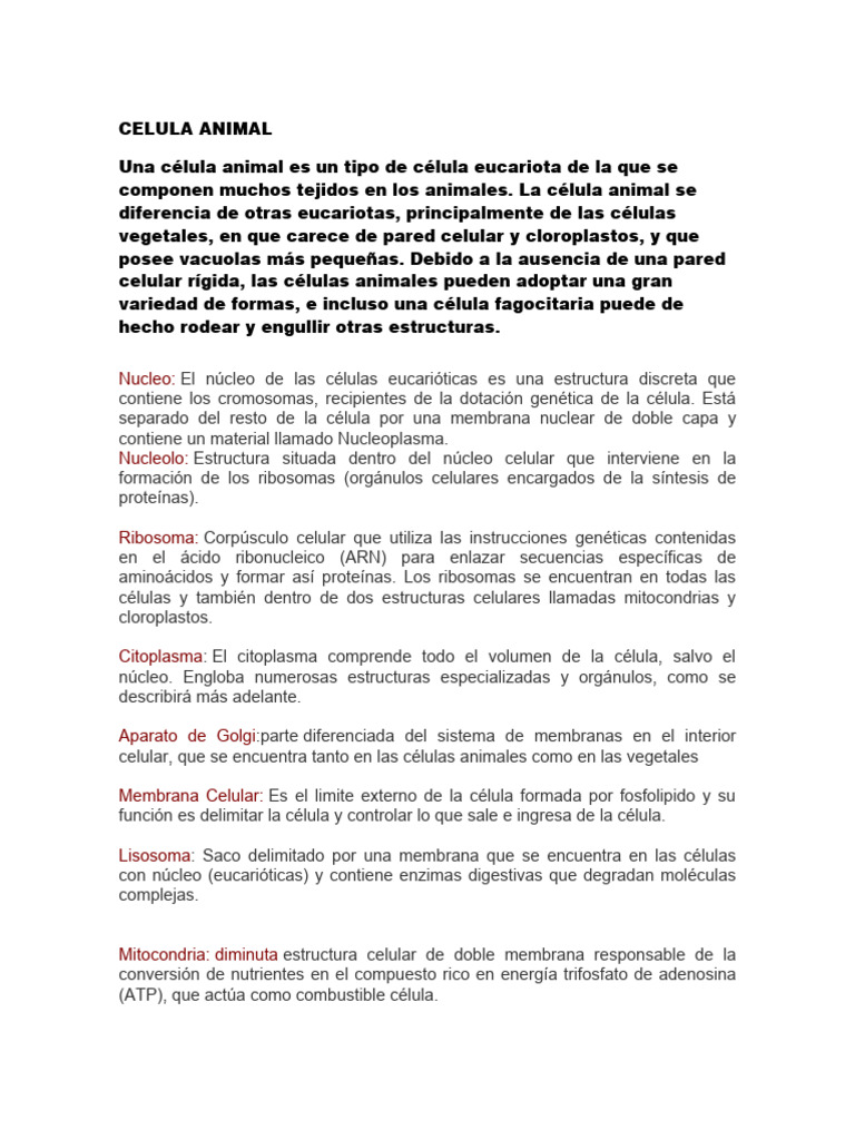 Celula Animal | PDF | Biología Celular) | Citoplasma