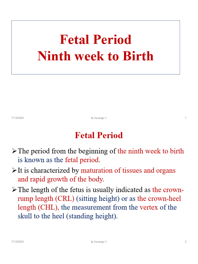 Fetal Period | PDF | Pregnancy | Fetus