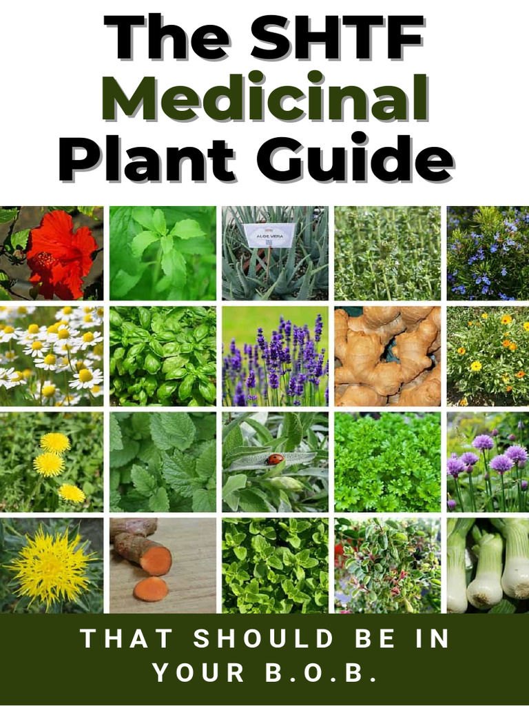 Plant Guide | PDF