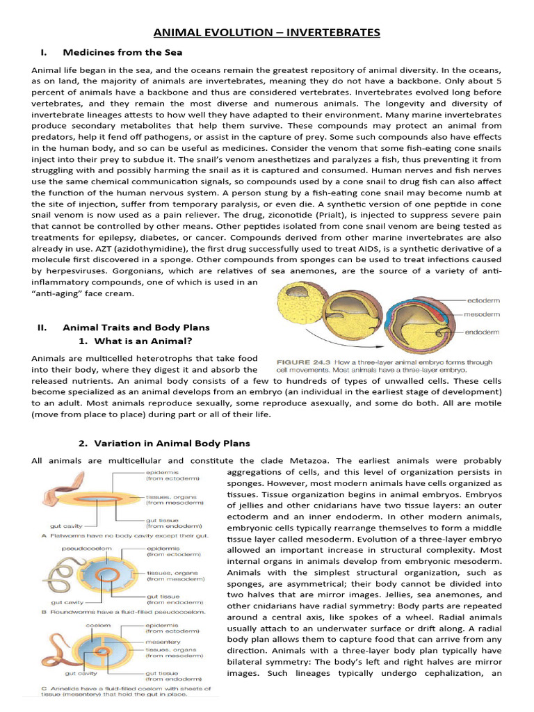 Animal Evolution Download Free Pdf Sponge Zoology