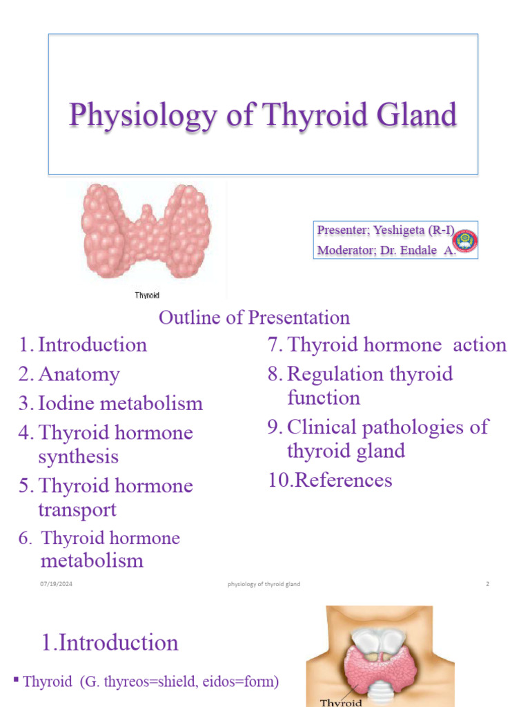 thyroid | PDF | Thyroid | Hyperthyroidism