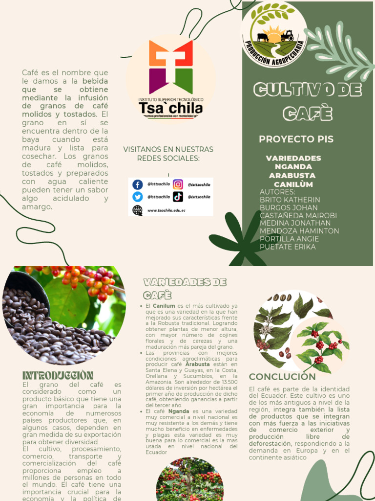 flyer folleto triptico plantas vivero divertido moderno orgánico verde (Trípticos) (2 ...