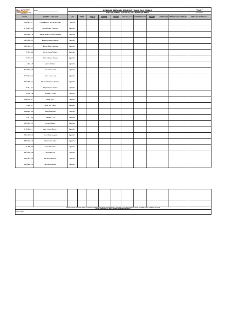 Planillas Control Diario | PDF