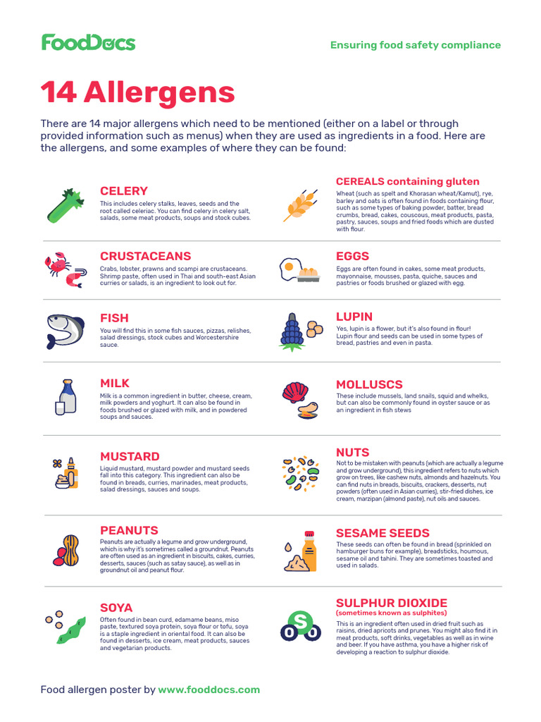14 Food Allergens - 1 | PDF | Peanuts | Tofu
