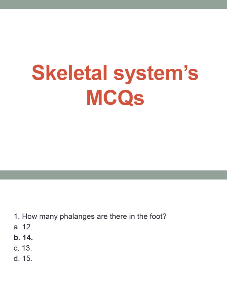 Skeletal System's MCQs | PDF | Bone | Vertebral Column
