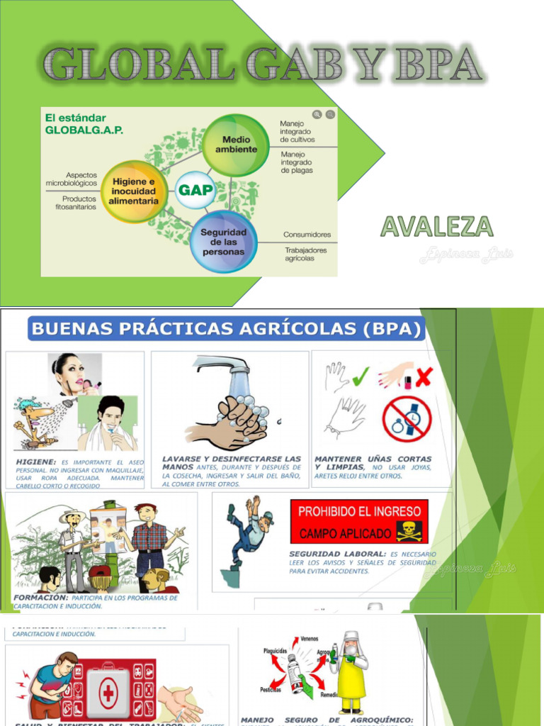 Global Gab y Bpa | PDF