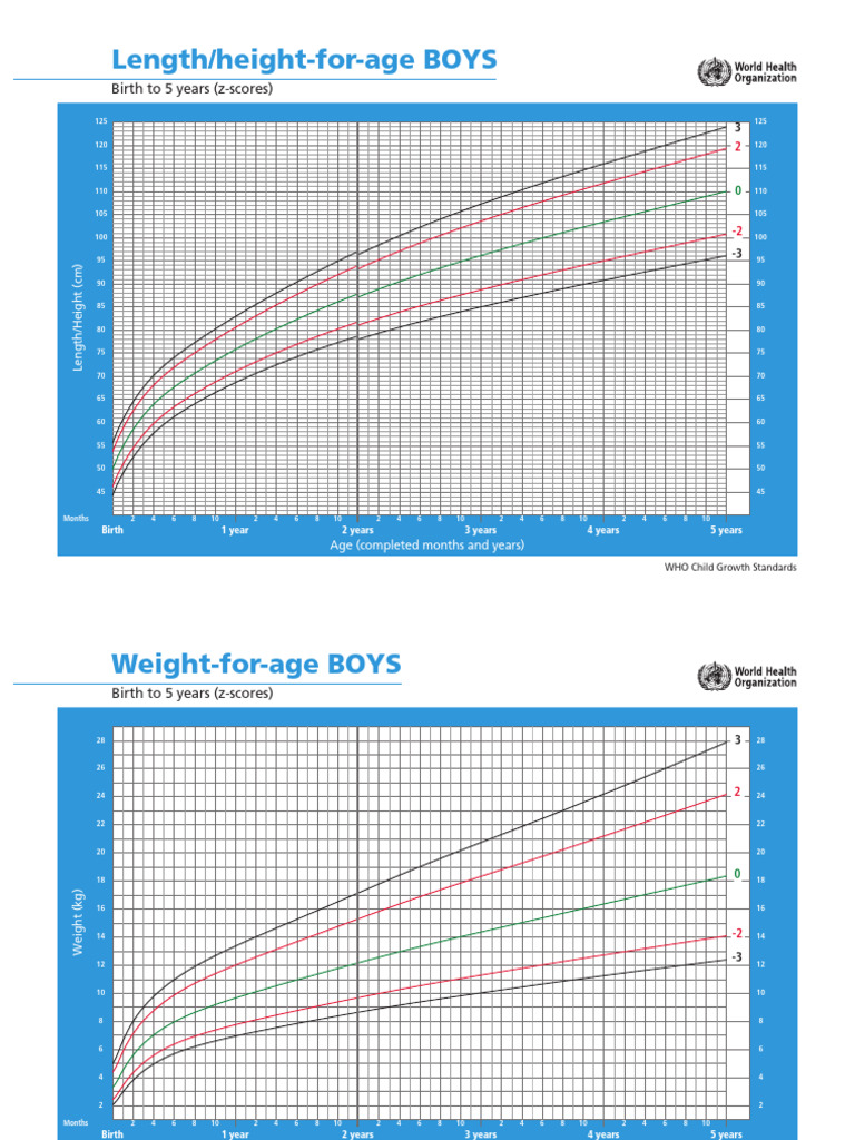 Antrop Draft | PDF | Metrology