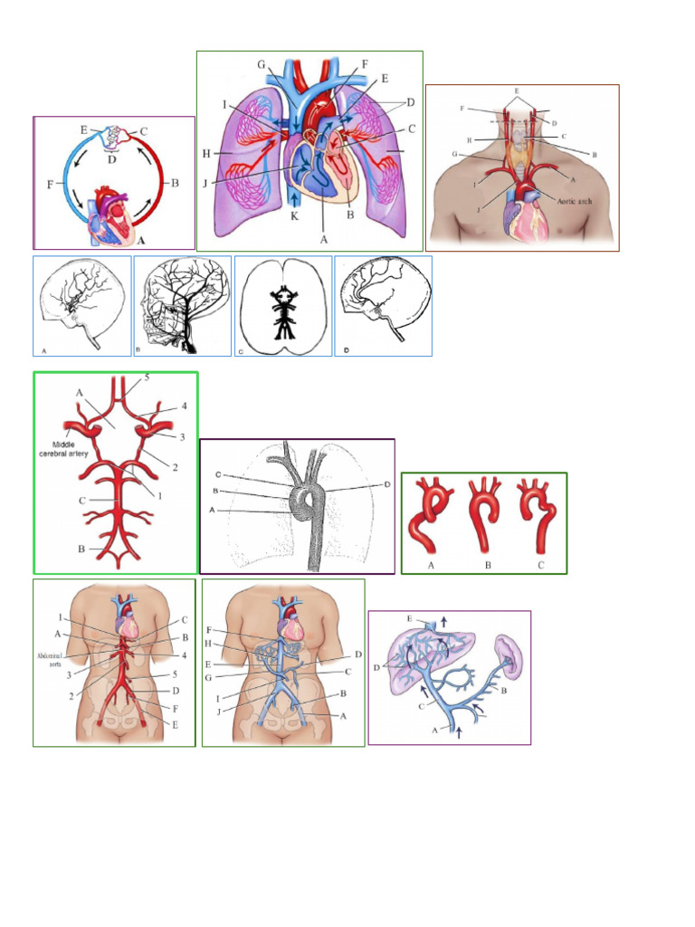 Imprimir Imagens de RX | PDF