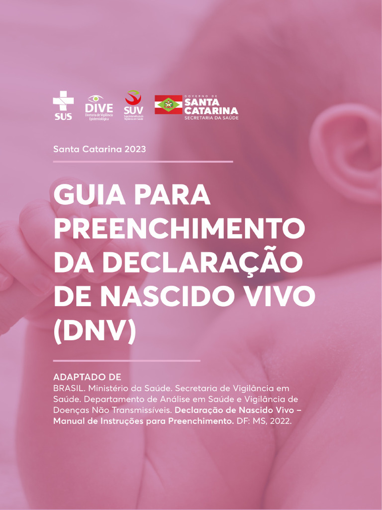 Guia Rapido Preenchimento DNV | PDF | Parteira | Gravidez