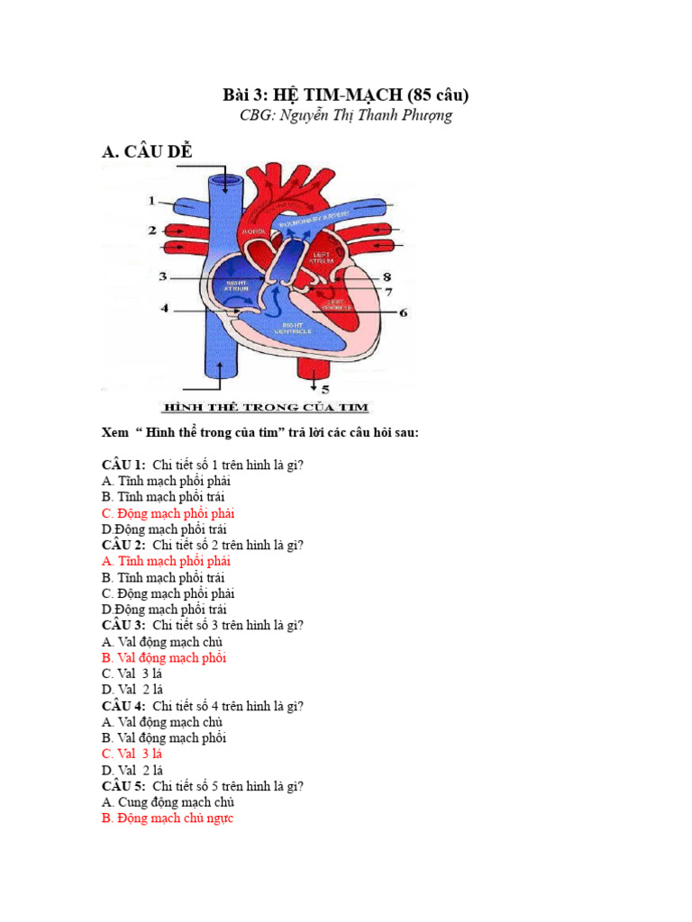 3 TIM Mach (85 Cau) | PDF