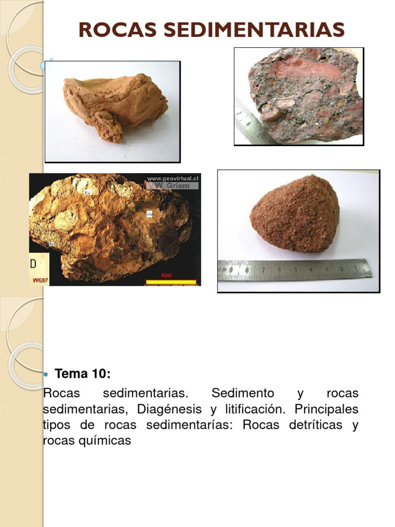 Tema 10 Rocas Sedimentarias | PDF | Roca clástica | Roca sedimentaria