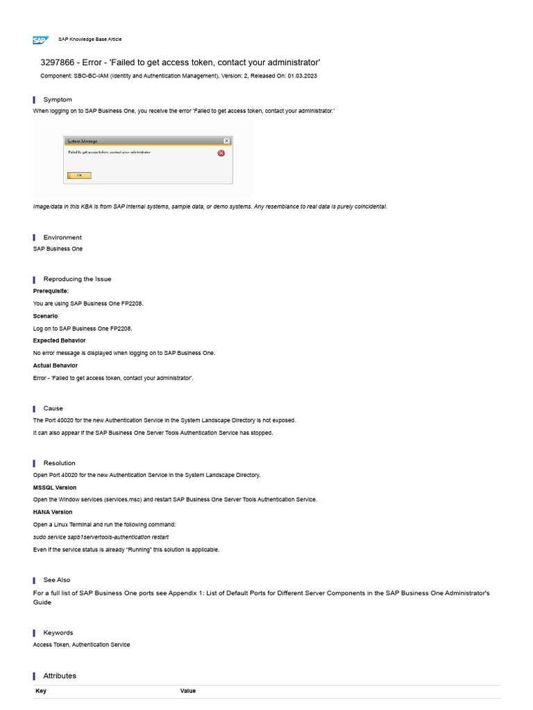 Access Token Sap | PDF Access Token Sap | PDF
