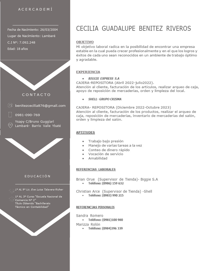 Cecilia Benitez - Curriculum | PDF | Negocios económicos | Business