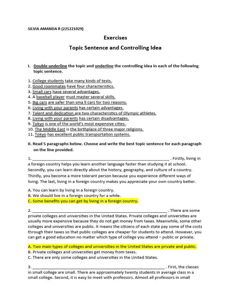 Topic Sentences and Main Ideas Exercise | PDF | Employment | Taxes