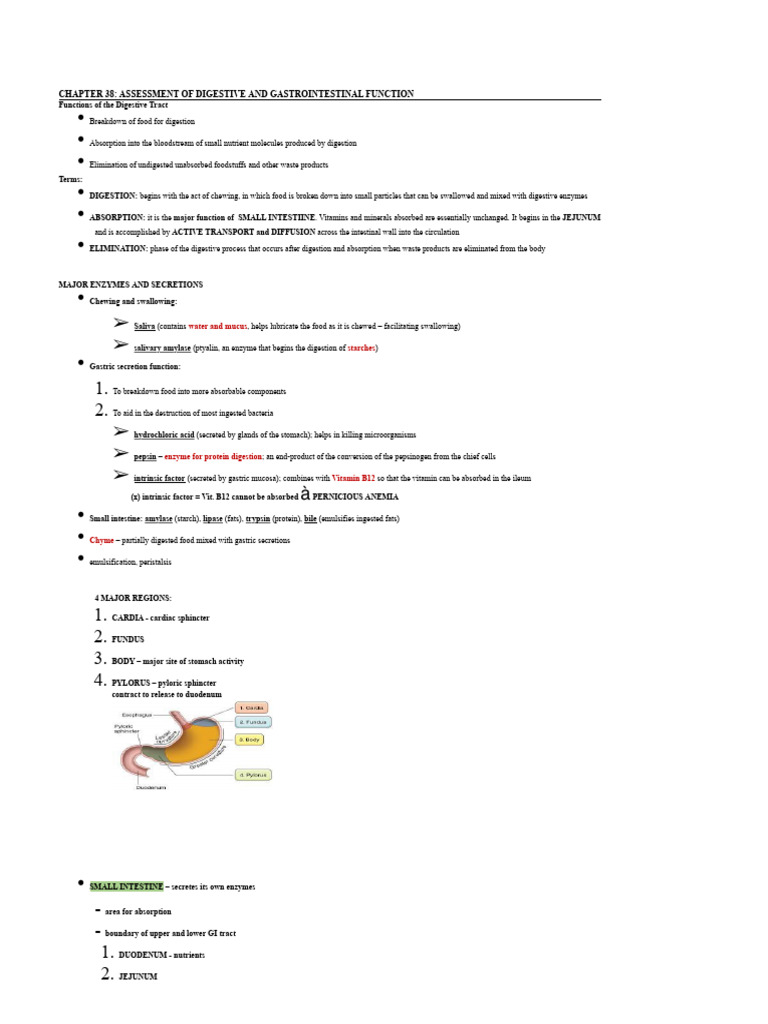 Chapter 38: Assessment of Digestive and Gastrointestinal Function | PDF ...
