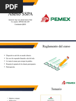 Requerimientos del Anexo SSPA Pemex | PDF