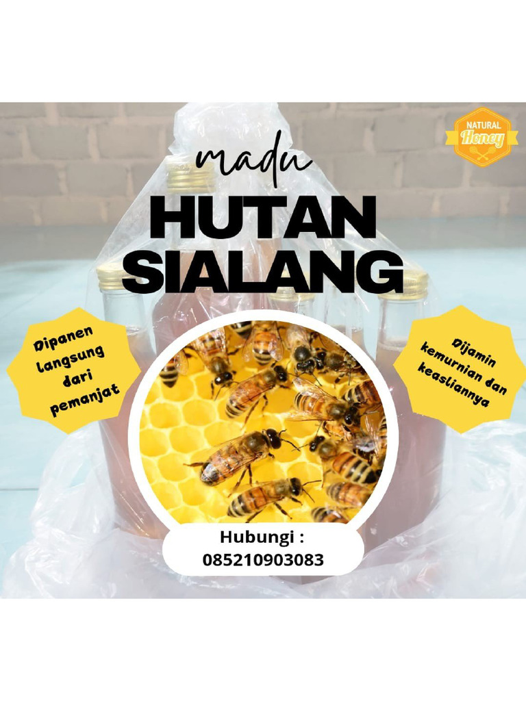 Madu Hutan Sialang | PDF