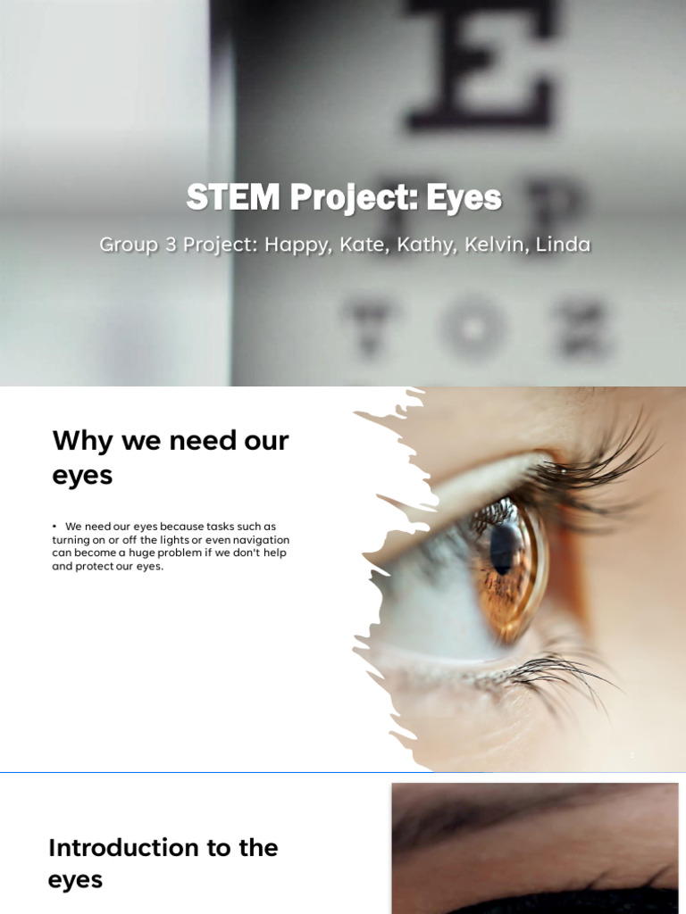 STEM Project Group 3 (EMG Education) | PDF | Eye | Color