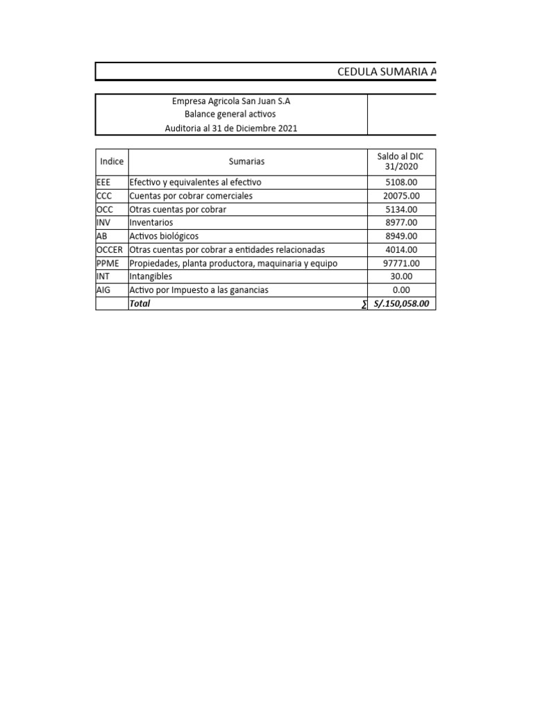 Cedula Sumaria | PDF | Contabilidad | Negocios económicos