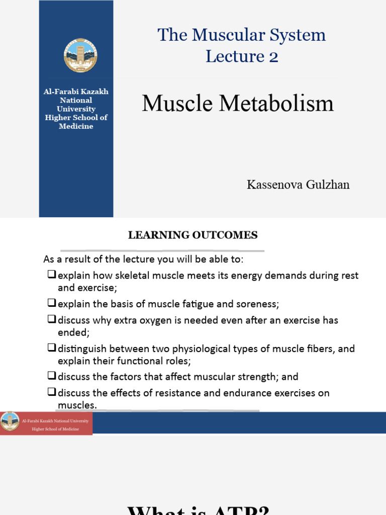 Lecture 2 Muscle Metabolism | PDF | Cellular Respiration | Skeletal Muscle