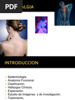 Signo de Mapache | PDF | Lesión | Medicina