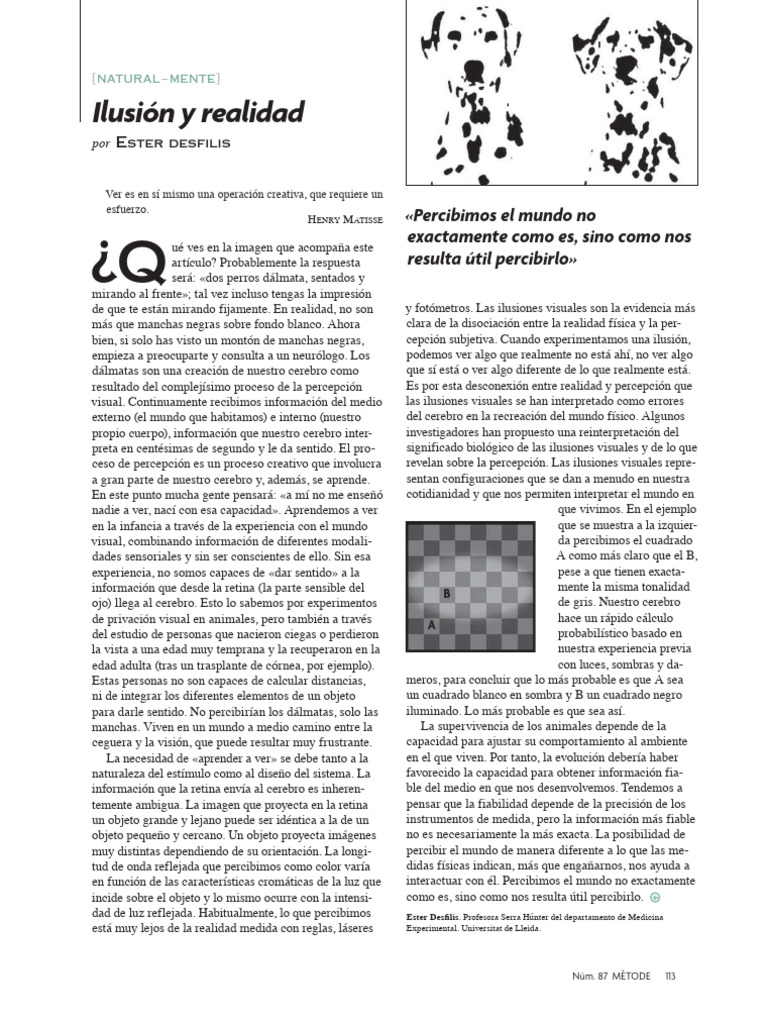 DPCI M3 S2 RC IllusionyRealidad | PDF | Percepción visual | Percepción
