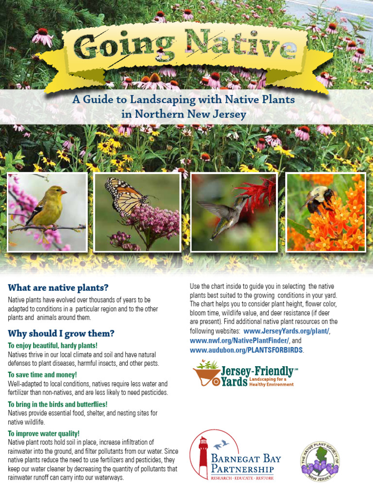 Native Plant Landscaping Guide NJ | PDF | Plants | Trees