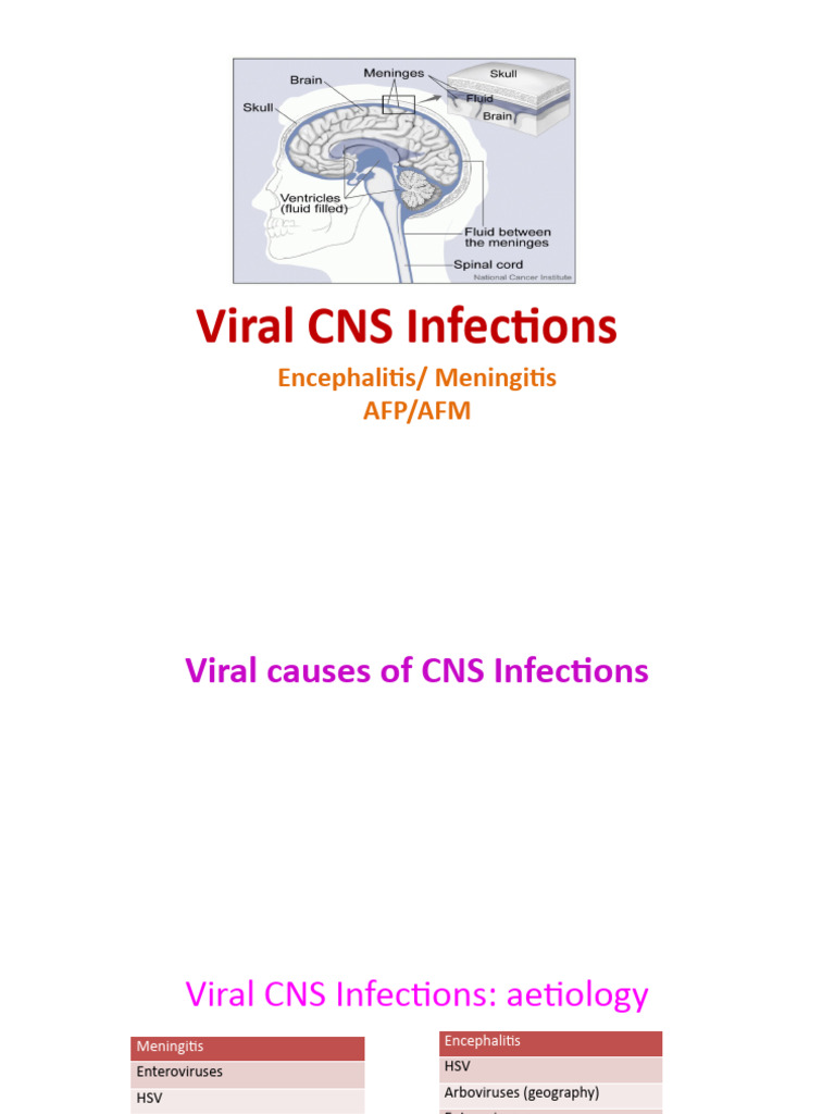 Viral CNS Infections Overview | PDF