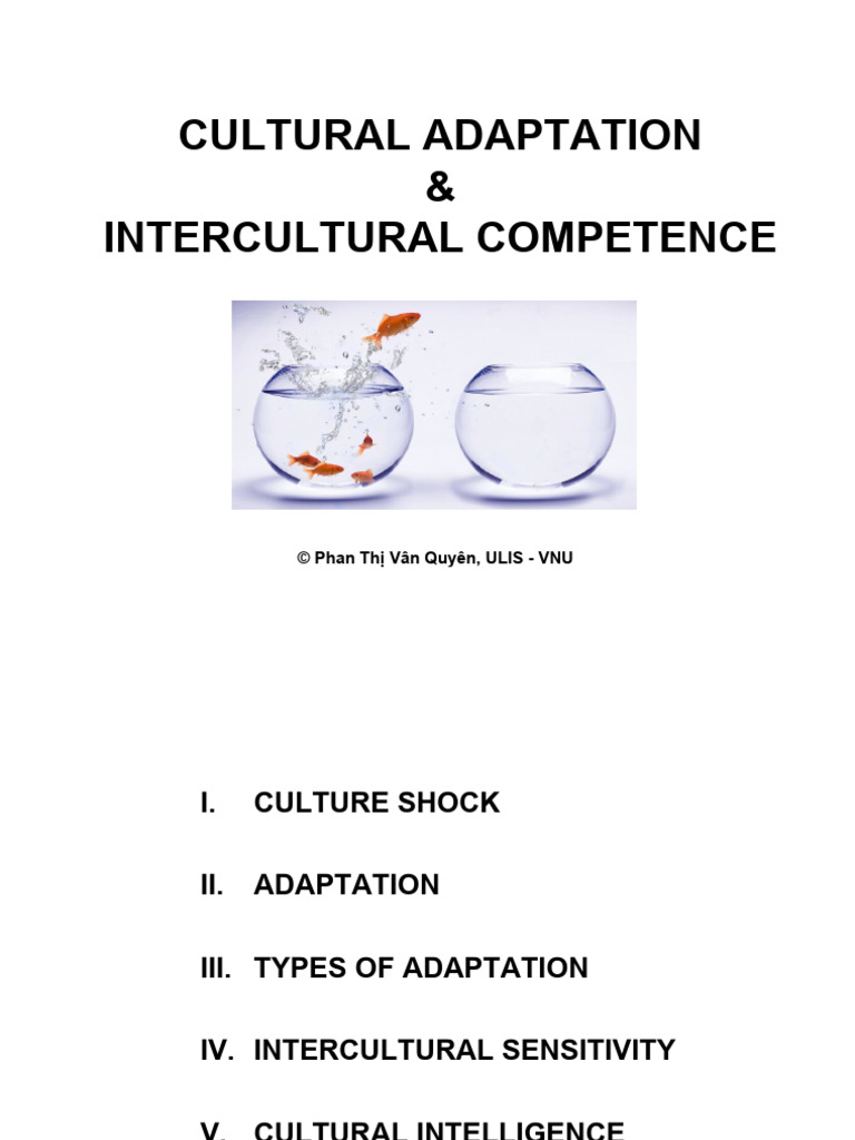 Cultural Adaptation - HANDOUT | PDF | Cultural Assimilation | Experience