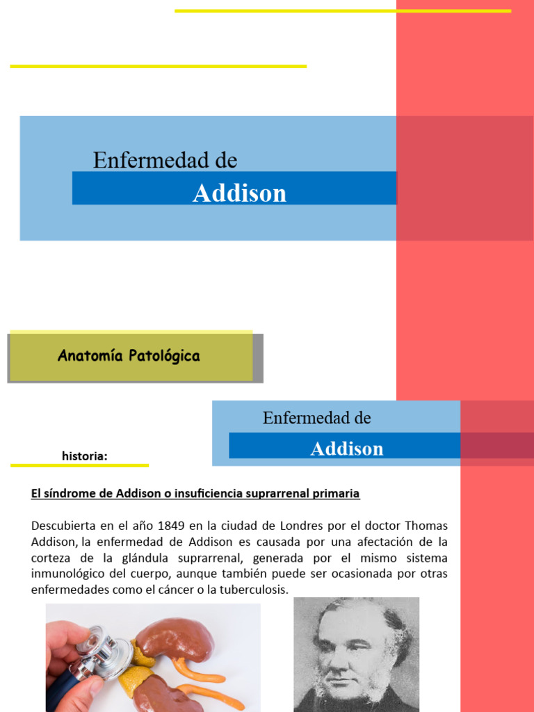 Enfermedad de Addison | PDF | Hormona adrenocorticotrópica | Glándula ...
