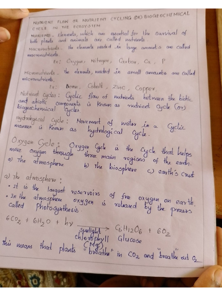 EVS Class Notes | PDF