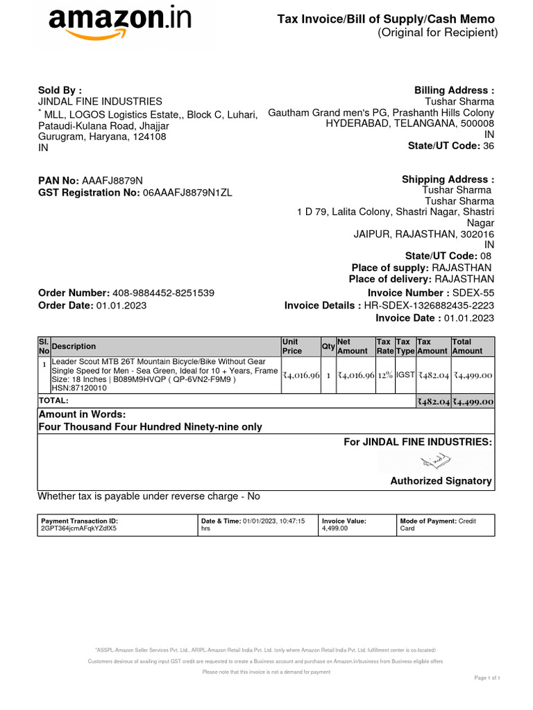 Mountain Bike | PDF | Invoice | Payments