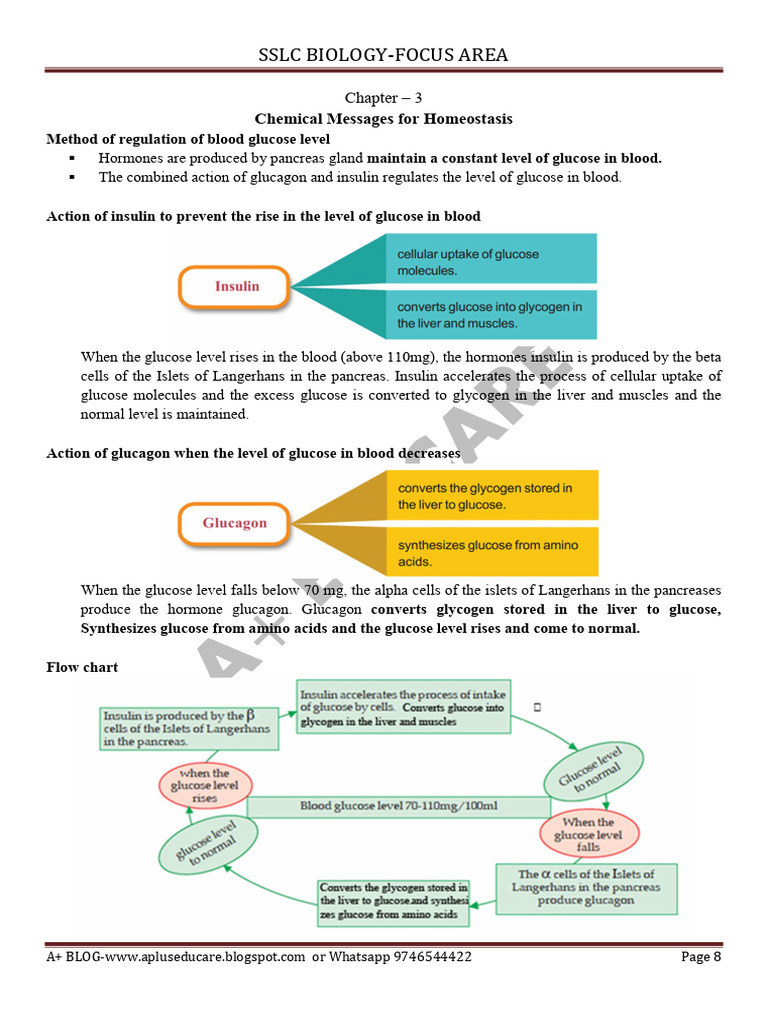 A+ Blog SSLC Biology Chapter 3 Focus Area Based Notes (Em) | PDF ...