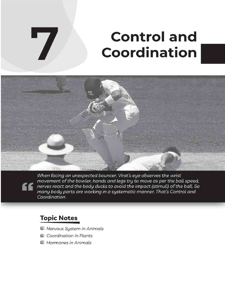 Control and Coordination | PDF