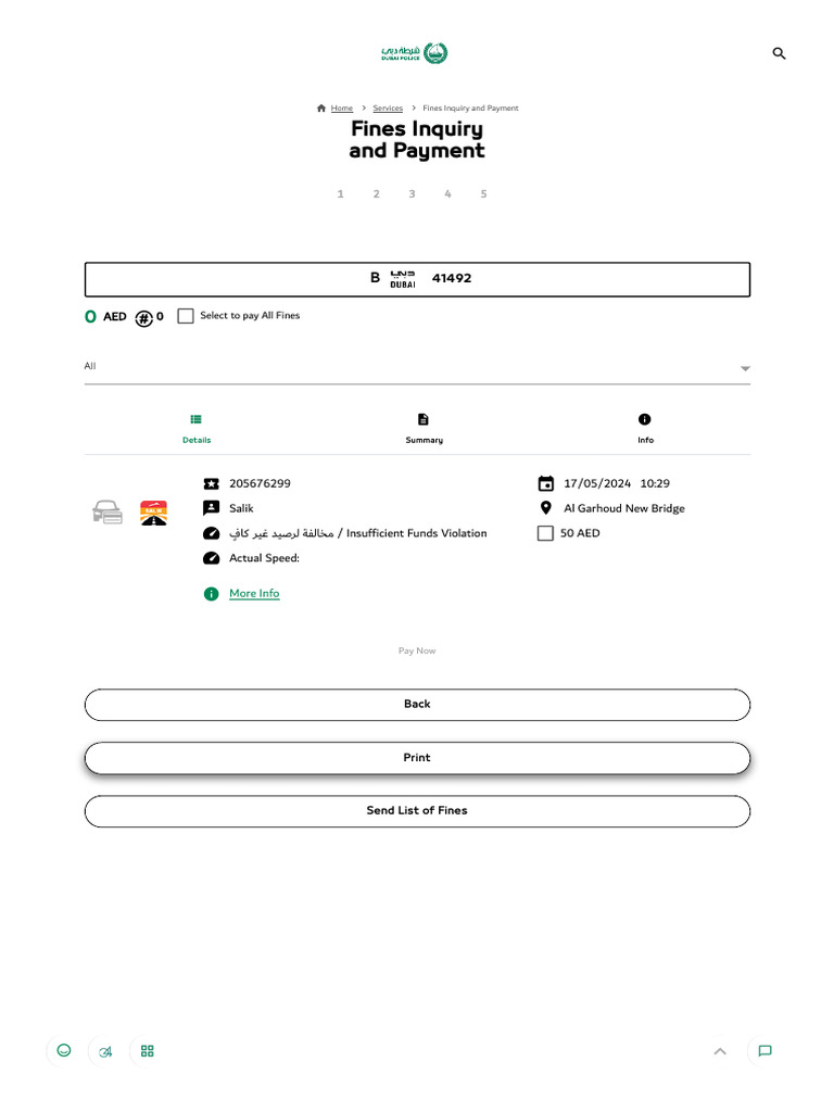 Fines Inquiry and Payment | PDF