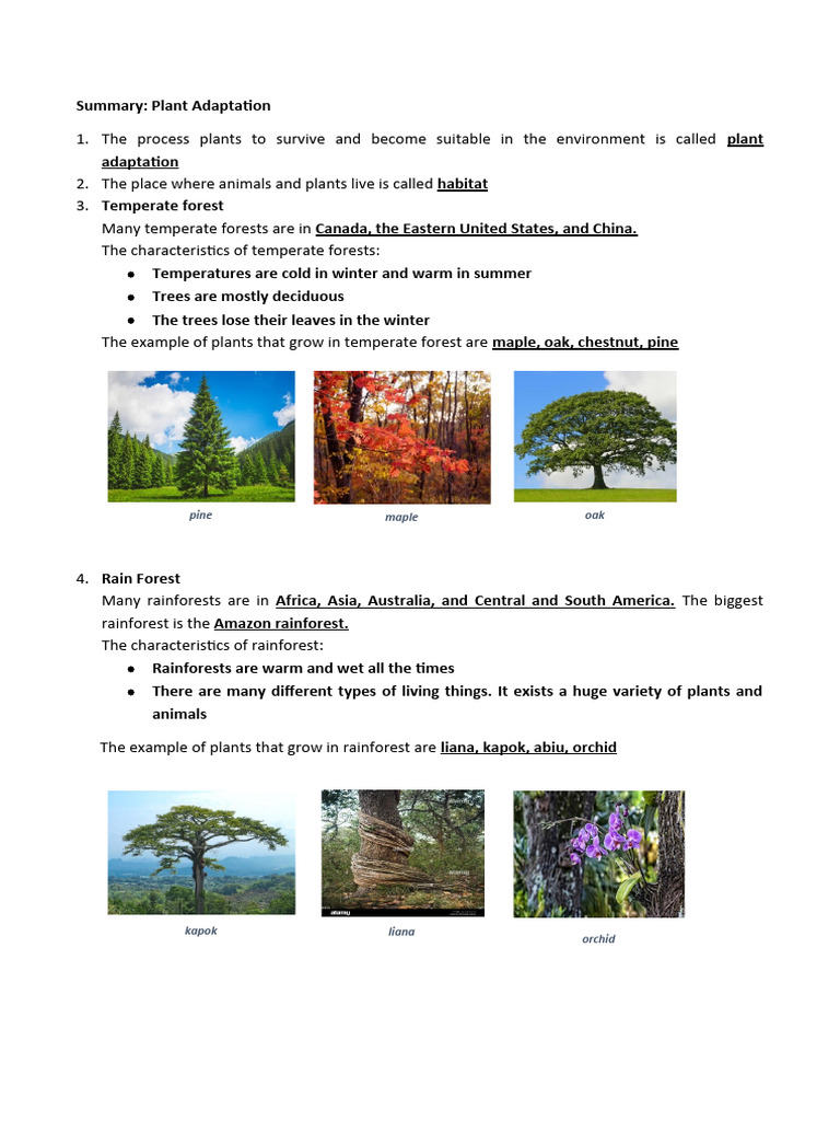 Understanding Plant Adaptation by Habitat | PDF | Home & Garden