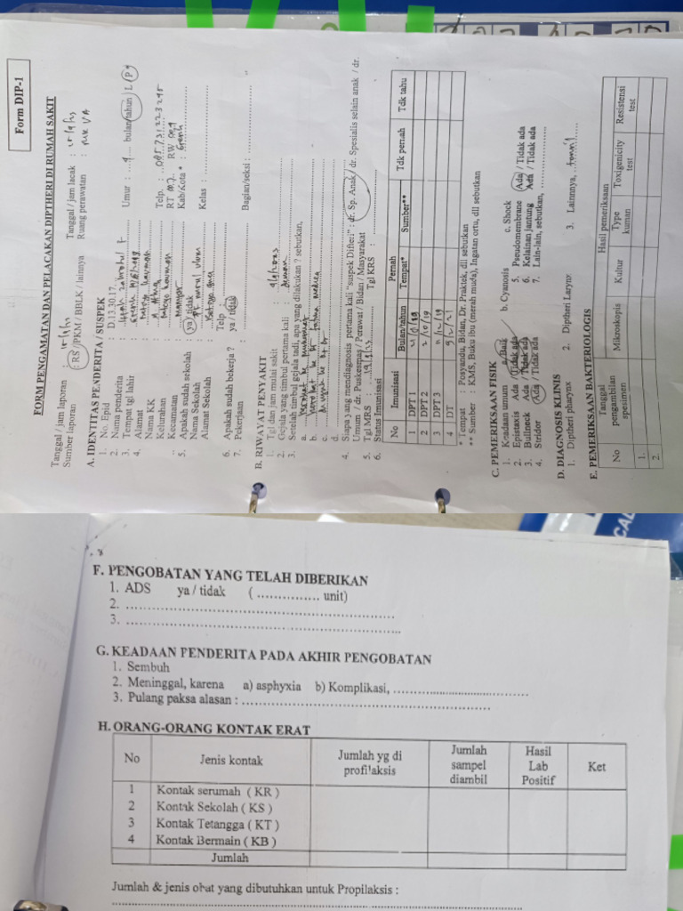 Form DIP-1 Iffah | PDF