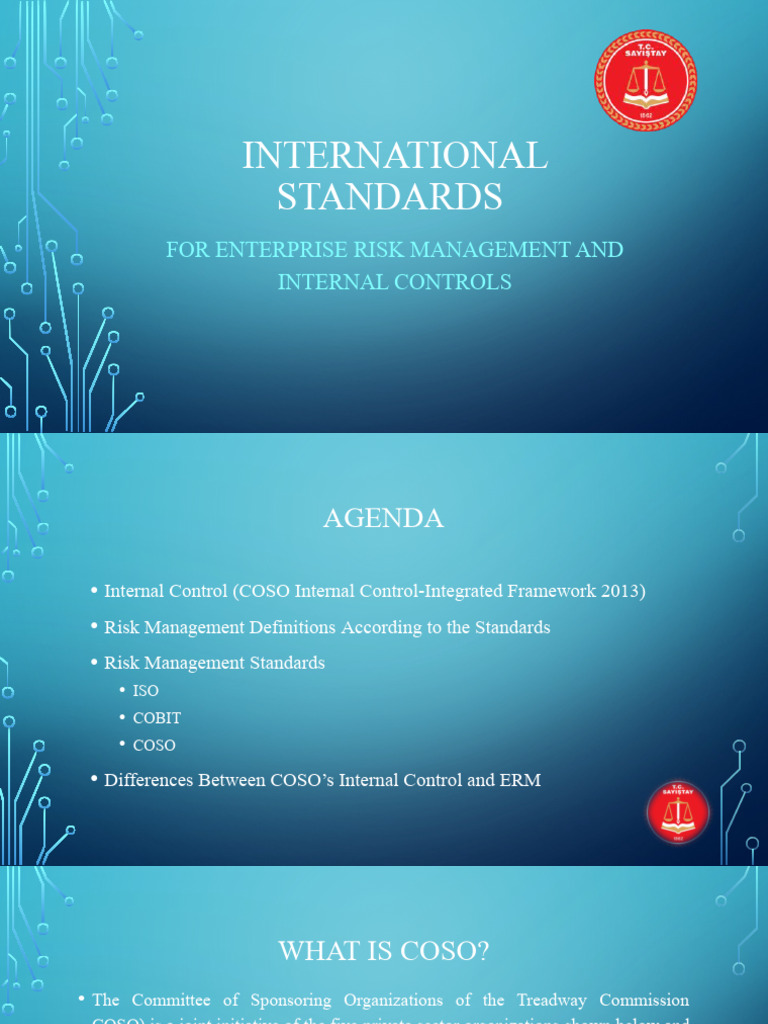 ERM AND IC STANDARDS-Emine ERSOZ | PDF | Internal Control | Risk Management