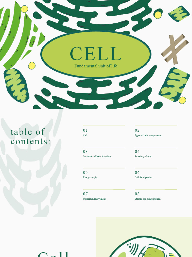 Cell Biology Essentials | PDF | Cell (Biology) | Endoplasmic Reticulum