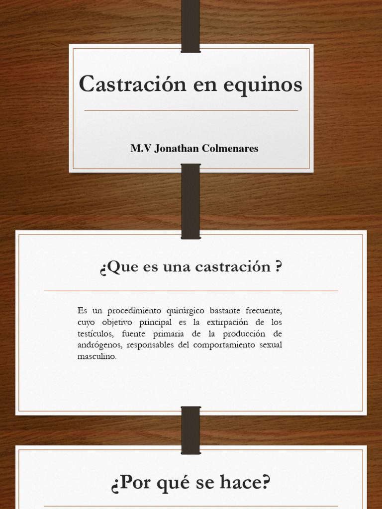 Castración Equina: Guía Completa | PDF | Testículo | Especialidades Medicas