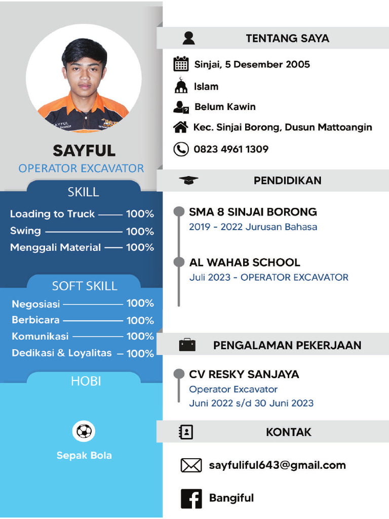 Sayful CV | PDF