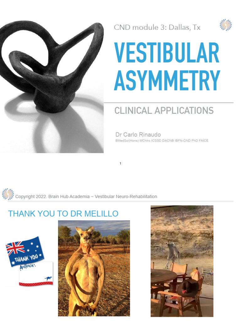 Carlo Rinaudo - Vestibular CND 3 | PDF | Vestibular System | Human Anatomy