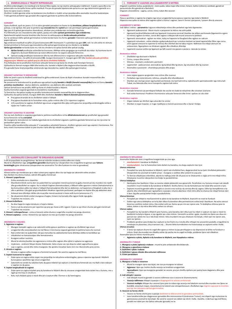 4n1 Sadik Hapesira Gjineko | PDF