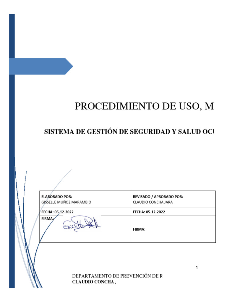 PTS-02 (Uso Mantención y Rep EPP) | PDF | Business | Casco