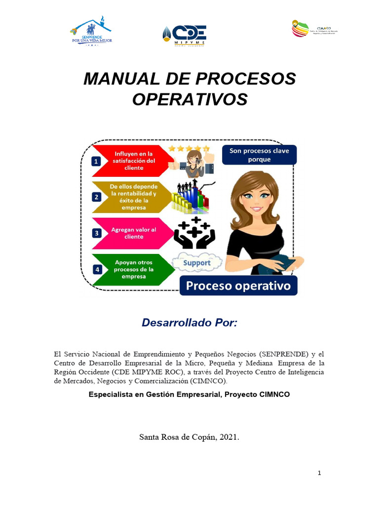 Manual_Procesos_Operativos_1 | PDF | Business | Logística